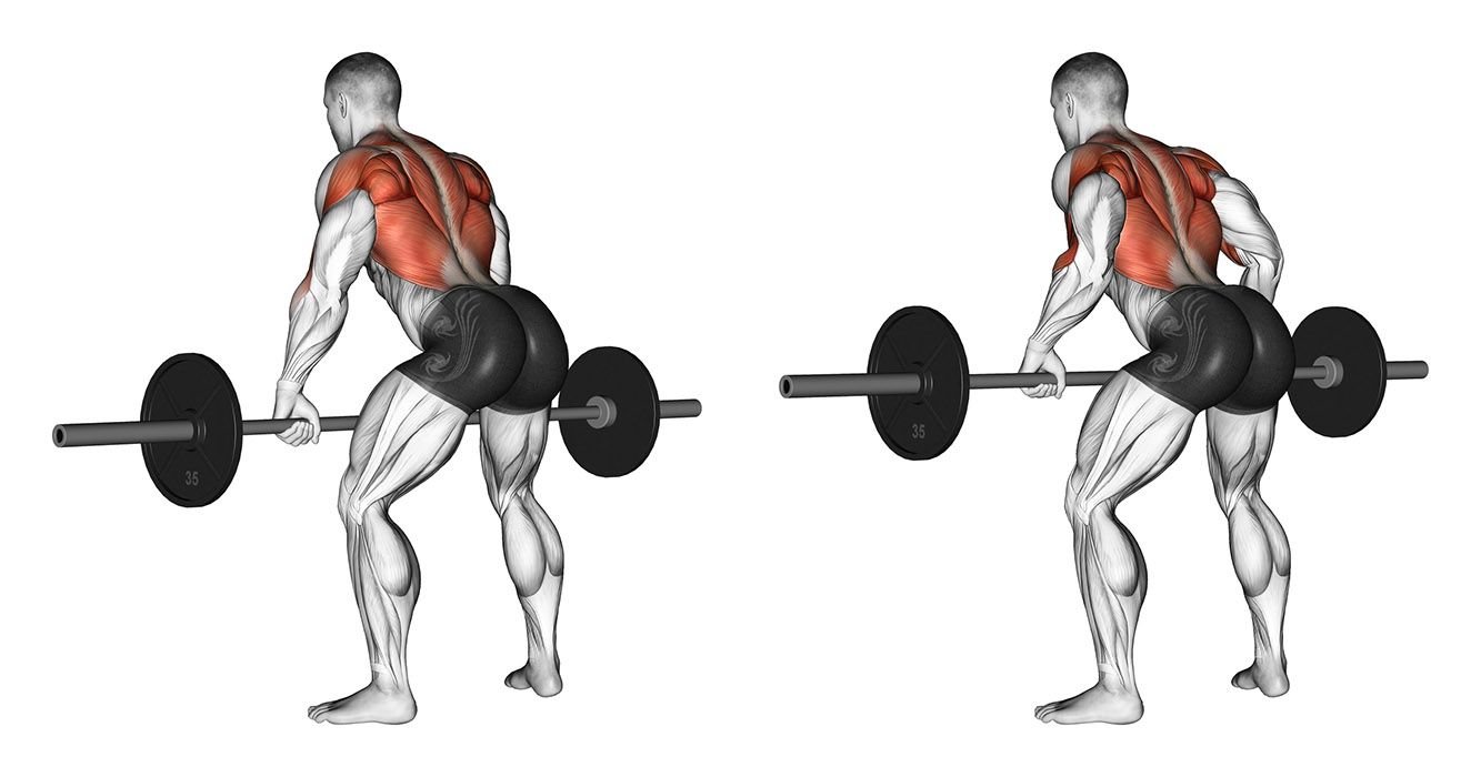 How To Perform T Bar Row Correctly: Ultimate Guide (2026)