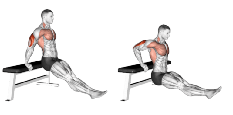 How To Perform Tricep Dips Correctly: Ultimate Guide (2025)
