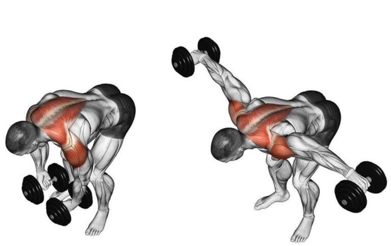 How To Do Reverse Fly Exercise With Perfect Form (2025)