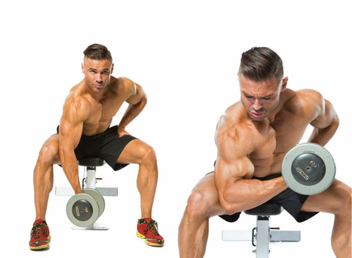 10 Best Shoulder And Bicep Exercises For Strong Arms