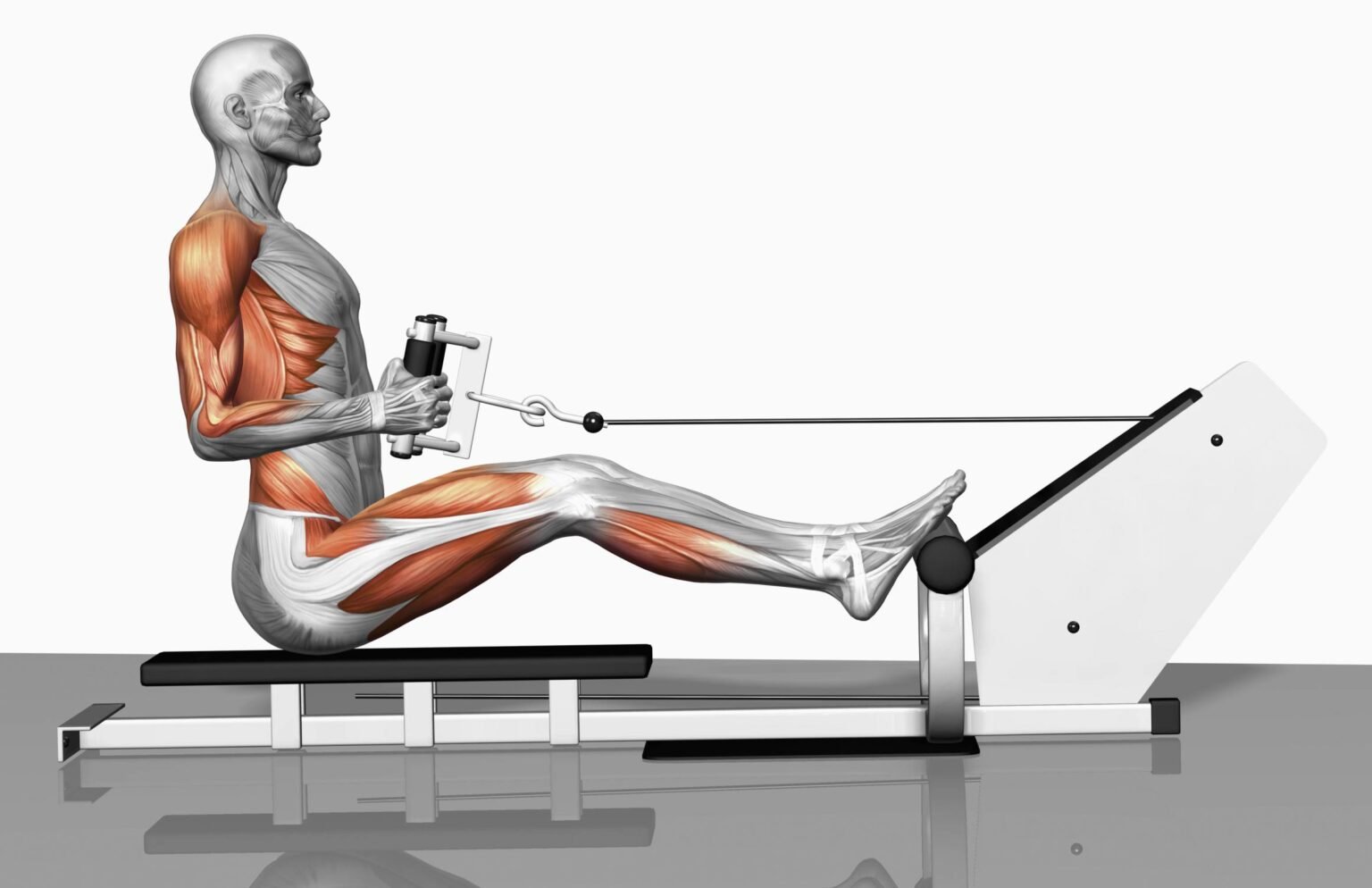 How To Perform Low Row Exercises: Master It Today 2026