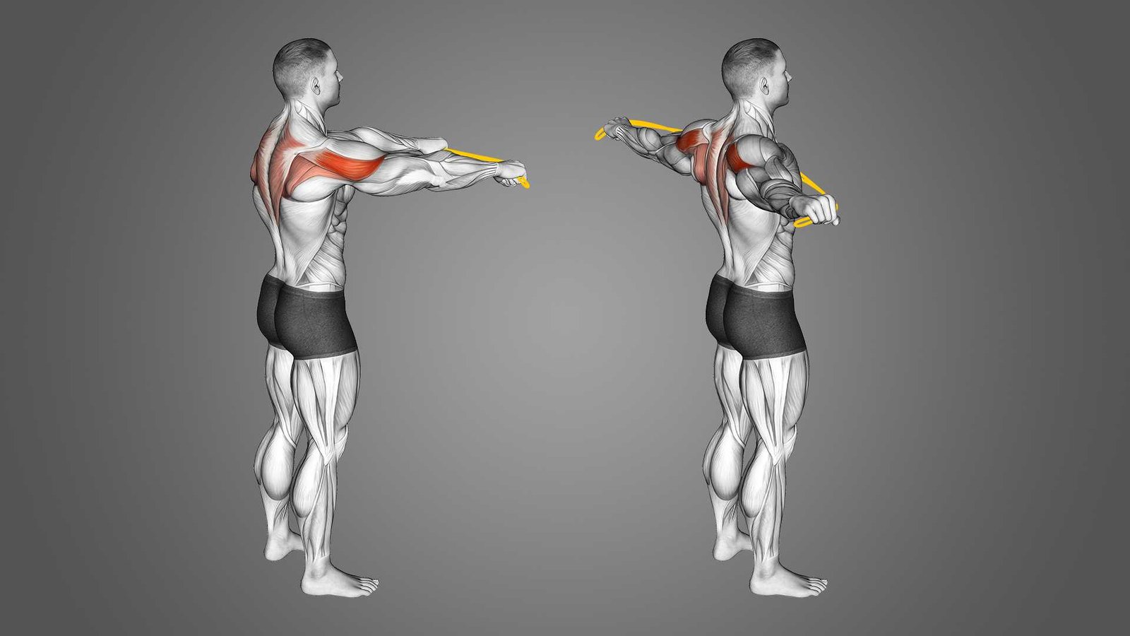 10 Horizontal Pull Exercises Best For Building Strength