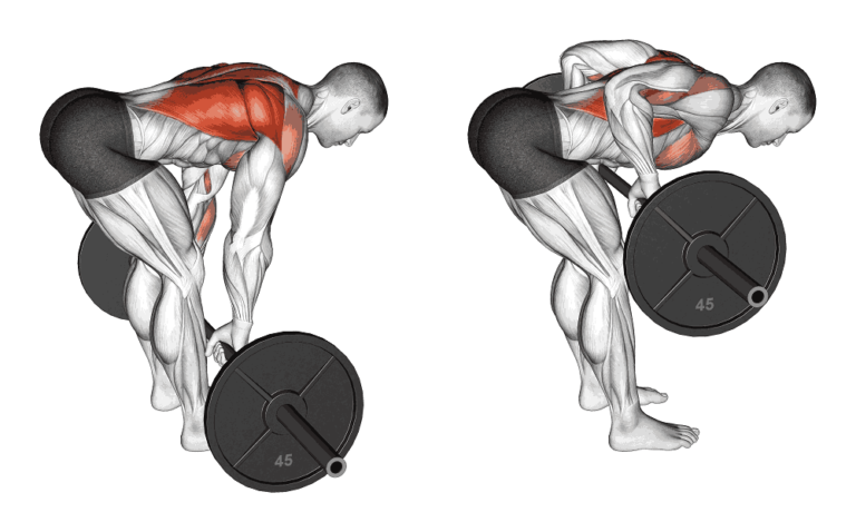 10 Horizontal Pull Exercises Best For Building Strength