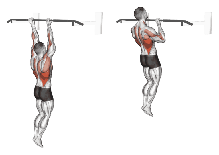 10 Best Vertical Pull Exercises Strengthen Your Lats Today