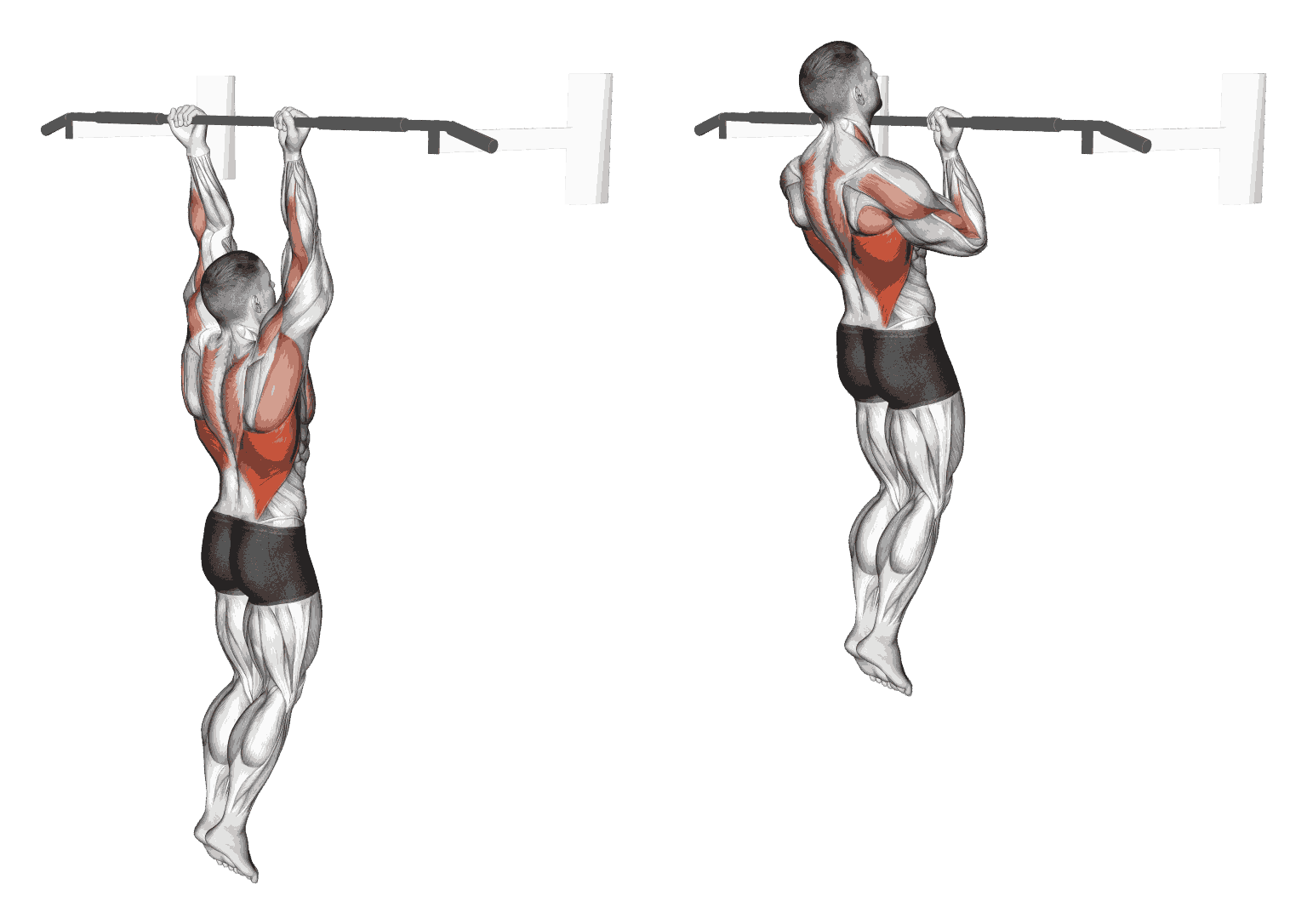 10 Best Vertical Pull Exercises Strengthen Your Lats Today