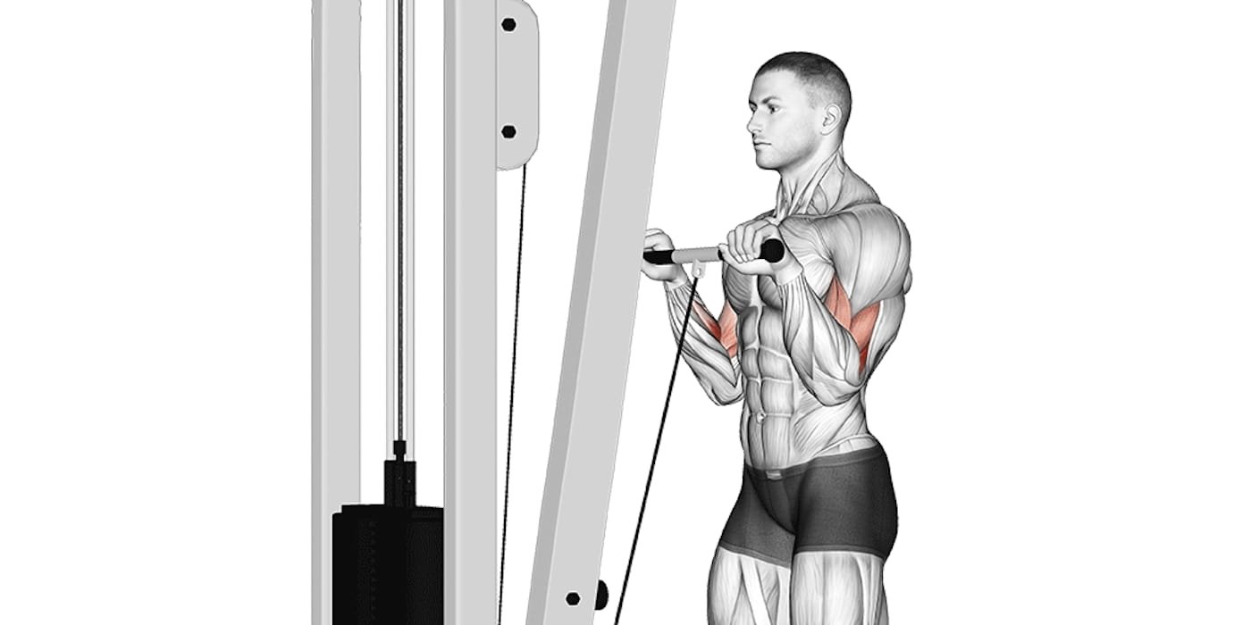 10 Best Cable Bicep Exercises For Maximum Muscle Growth