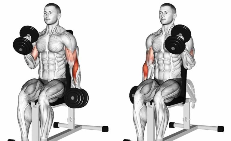 How To Do Hammer Curls Correctly: Step-by-Step Guide (2026)