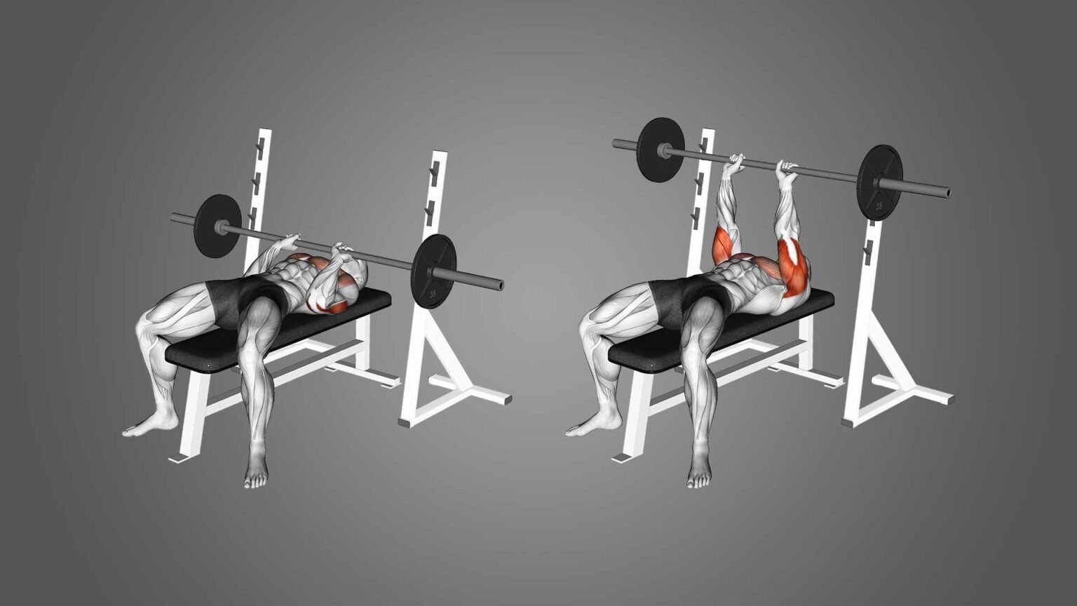 10 Best Lateral Head Tricep Exercises Transform Your Arms